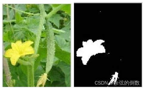 图像综合处理小设计实验—opencv背景分割，硬币检测目标与背景的分割与提取 Csdn博客