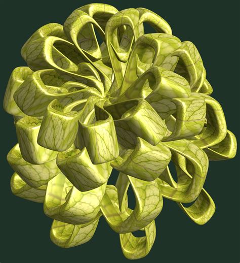 무료 이미지 구조 조직 꽃잎 무늬 녹색 노랑 플로라 디자인 대칭 3d 그래픽 플로리스트 리 큰 쇠시리 수학자 Cg