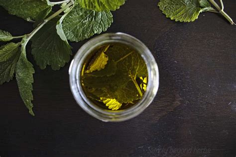 How To Make Lemon Balm Oil 10 Ways To Use It SimplyBeyondHerbs