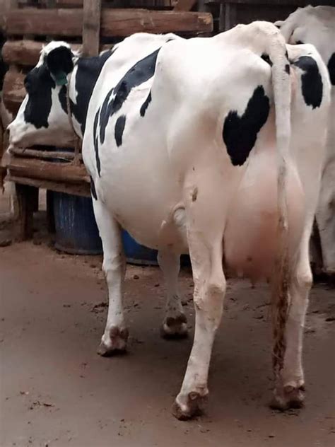 Container Works Africa With Years Of Experience In The Industry Cwa Ltd Has Earned A