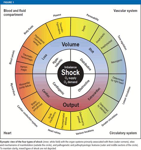 The Nomenclature Definition And Distinction Of Types Of Shock