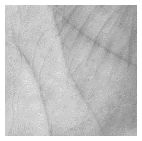 Preprocessing Part Of The Algorithm A Raw Sample B Threshold C Download Scientific