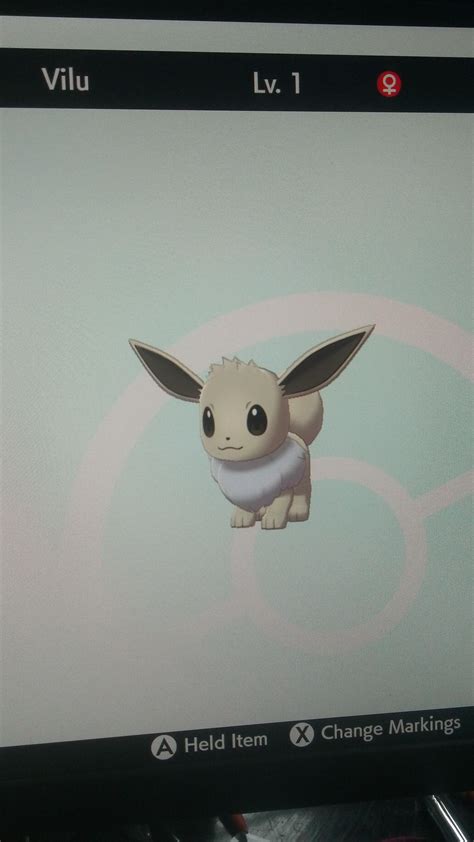 What Should I Evolve My Shiny Eevee Into R Pokemonswordandshield