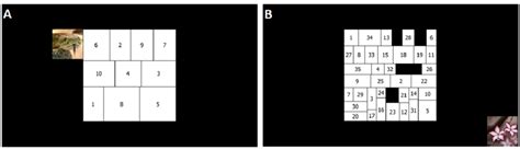 the visual search task and layout of the stimuli used in the present