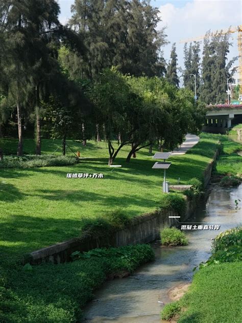 深圳大沙河生态长廊 【驳岸】 花瓣网