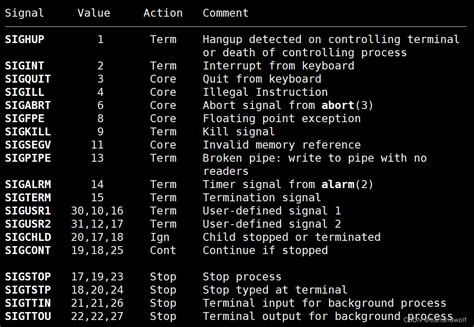 Linux 信号概念