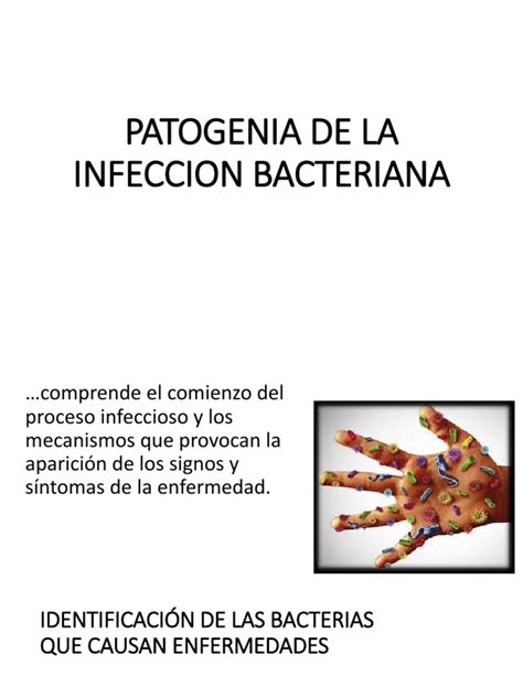 4 Patogenia De La Infeccion Bacteriana Pdf Las Bacterias Secreción