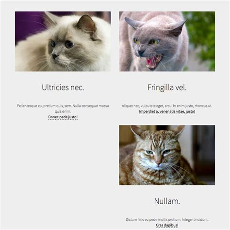 Html Bootstrap Grid Row Starts A Column Too Far Over Stack Overflow