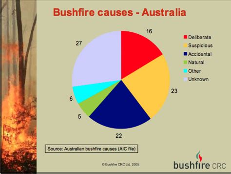 Bush Fires Natural Disasters