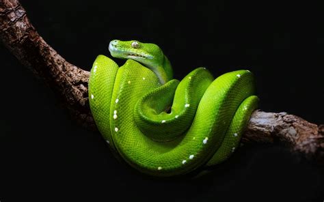 Files And Exceptions In Python