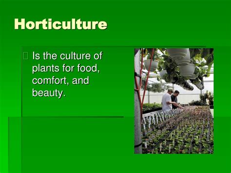 PPT Horticulture PowerPoint Presentation Free Download ID