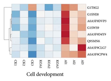 Hierarchical Clustering Analysis Of The Differentially Accumulated