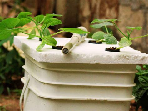 Passive Vs Active Hydroponic Systems Whats The Difference Hydroponic Way