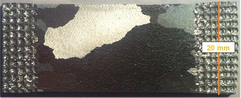 Revealed Microstructure After Recrystallization Download Scientific Diagram