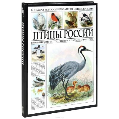 Птицы России / Книги / Птицы Европы