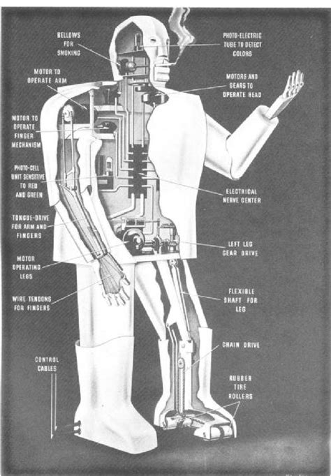 World's Fair Wednesday - Elektro - Timid Futures