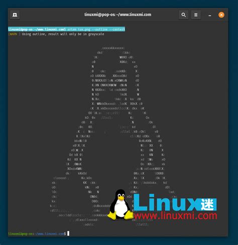 如何使用 Artem 在 Linux 终端中将图像转换为 Ascii 艺术 Linux迷