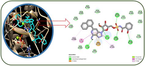 Docking Interaction Of Gv35 Mbta Inhibitor In The Binding Pocket Of