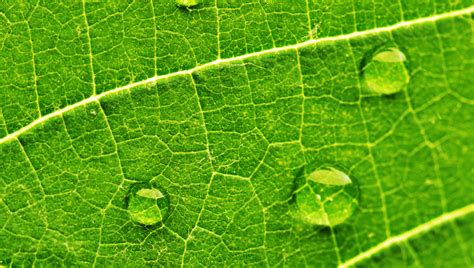 How To Draw Water Drops In Photoshop Shutterstock