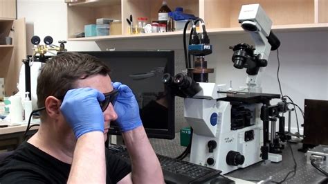 Video Using Optical Tweezers For The Generation Of Hybrid Spheroids