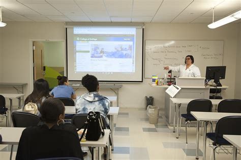 best projector screens for schools and universities