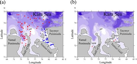 Locations Of Sediment Samples Of Seafloor Surface Layer Of The Ob Download Scientific Diagram