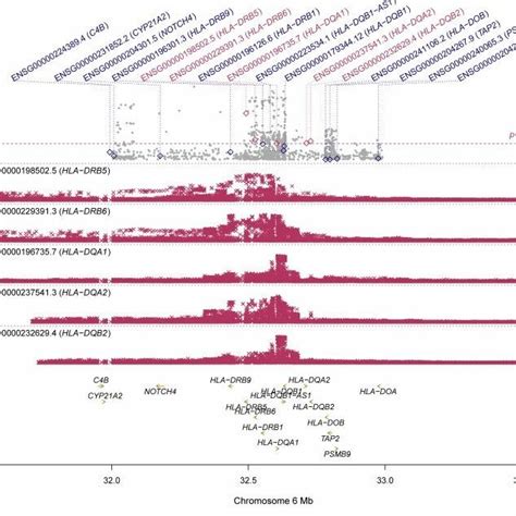 Flow Chart For The Smr Analysis Download Scientific Diagram
