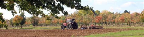 Tractor Discing V Kraus Nurseries Ltd