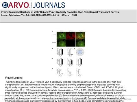 Invest Ophthalmol Vis Sci 52 9 Doi Iovs Figure Legend Ppt