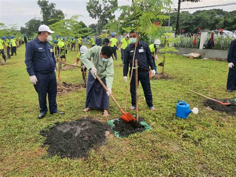 ဒဂုံမြို့သစ် တောင်ပိုင်း မြို့နယ်တွင် မိုးရာသီသစ်ပင်စိုက်ပျိုးပွဲကျင်းပ Information And