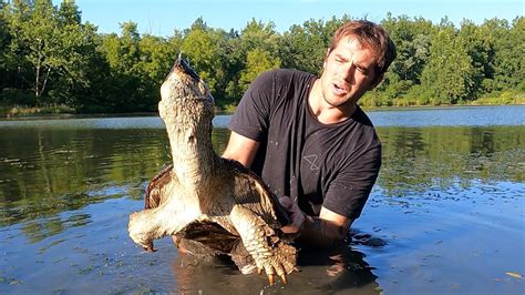 How to catch and hold a Snapping Turtle in the summer - YouTube