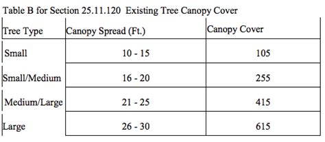 Council Appears Poised To Act On Tree Canopy Protections The Urbanist