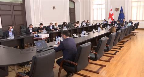 ლაშა დარსალია სამოქალაქო საზოგადოების წარმომადგენლებს შეხვდა