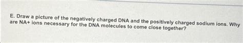 Solved E ﻿draw A Picture Of The Negatively Charged Dna And