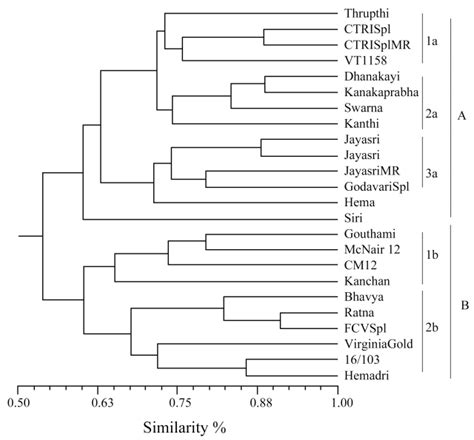 clustering of tobacco varieties using ssr markers download scientific