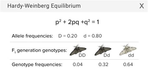 Genotype Frequency Vs Allele Frequency
