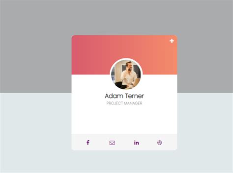 Tailwind Css User Profile With Tags And Buttons Example