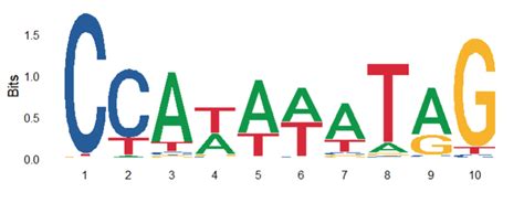 基因家族分析（4）motif 预测 知乎