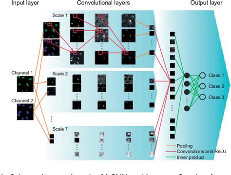 Figure 1 From A Multi‐scale Convolutional Neural Network For