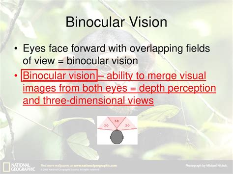 and elements of behavior ppt download