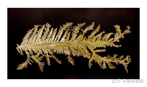 树枝状晶体形成的原因是什么？ 知乎