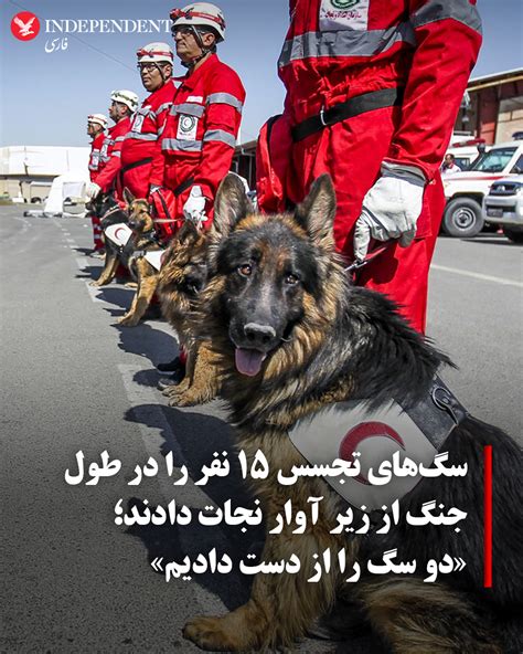 Independent Persian ‎ رضا مومنی، رئیس اداره عملیات جستجوی هلال احمر