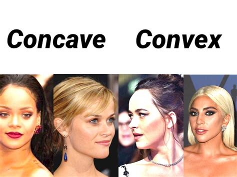 Convex Profile By Newmillerhayley