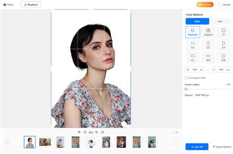 Best Tool To Bulk Crop Images Simultaneoursly On Your PC