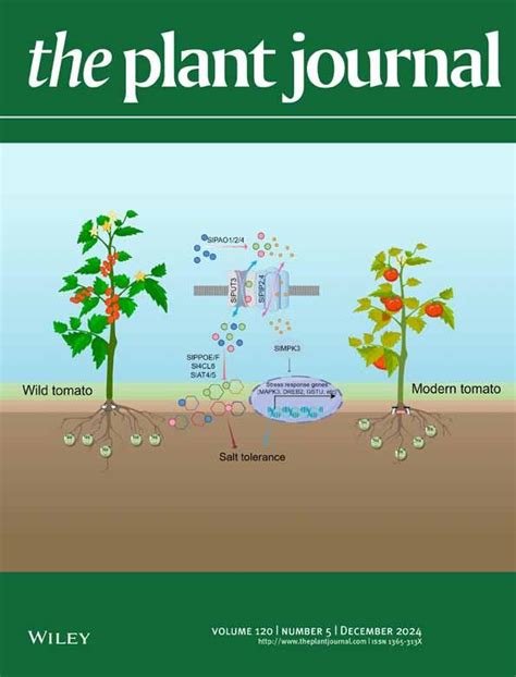 Thuy Linh Nguyen On Linkedin Whirly1 Regulates Aliphatic Glucosinolate Biosynthesis In Early