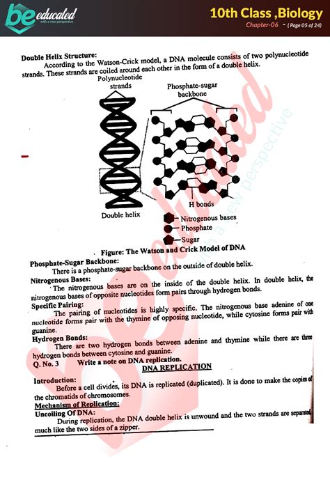 Chapter 6 Biology 10th Class Notes Matric Part 2 Notes