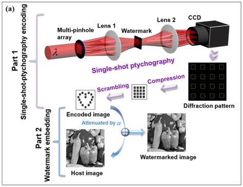 Schematic Setups For Optical Watermarking Based On Download