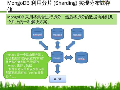 2 谁在使用mongodb