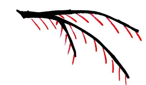 Ель поэтапно карандашом 12 способов нарисовать ёлку с которыми справится даже ребёнок