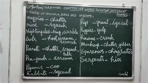 Chapter 48 Words Denoting Different Sounds 3rd Portion Youtube